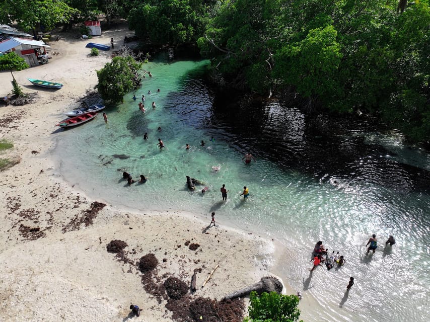 Samana:Safari Panoramic City Tour+Rincon+Caño Frio w/ Lunch | GetYourGuide