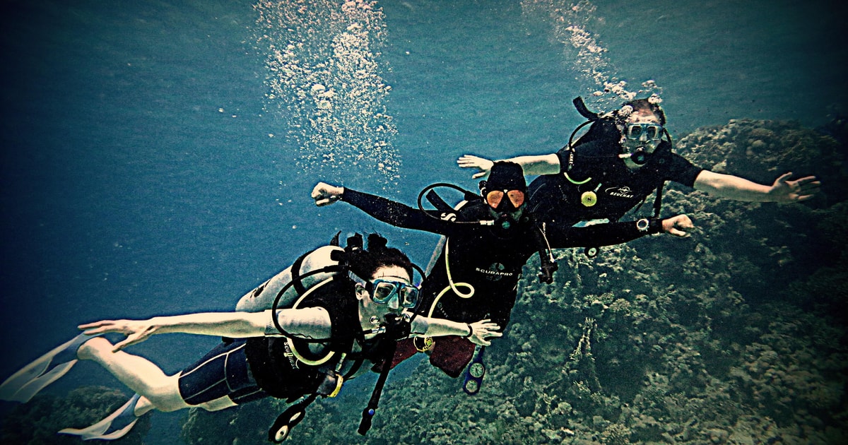 Scuba Diving & Pool Day &BBQ & Overnight Stay in Fujairah | GetYourGuide