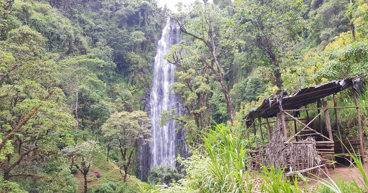Materuni waterfalls, Coffee tour & Chemka Hot spring Tour | GetYourGuide