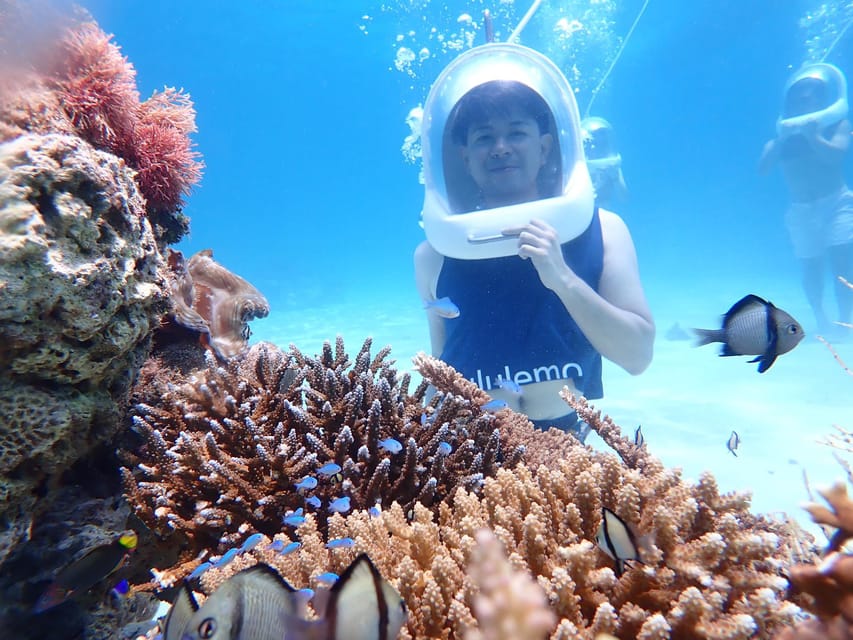 Boracay: Aquanaut Helmet Diving Experience | GetYourGuide