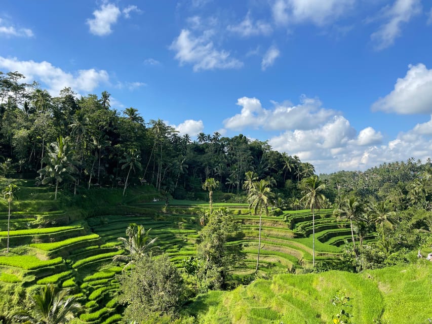 Bali Top's 3 Waterfalls - Temple And Rice Terrace | GetYourGuide