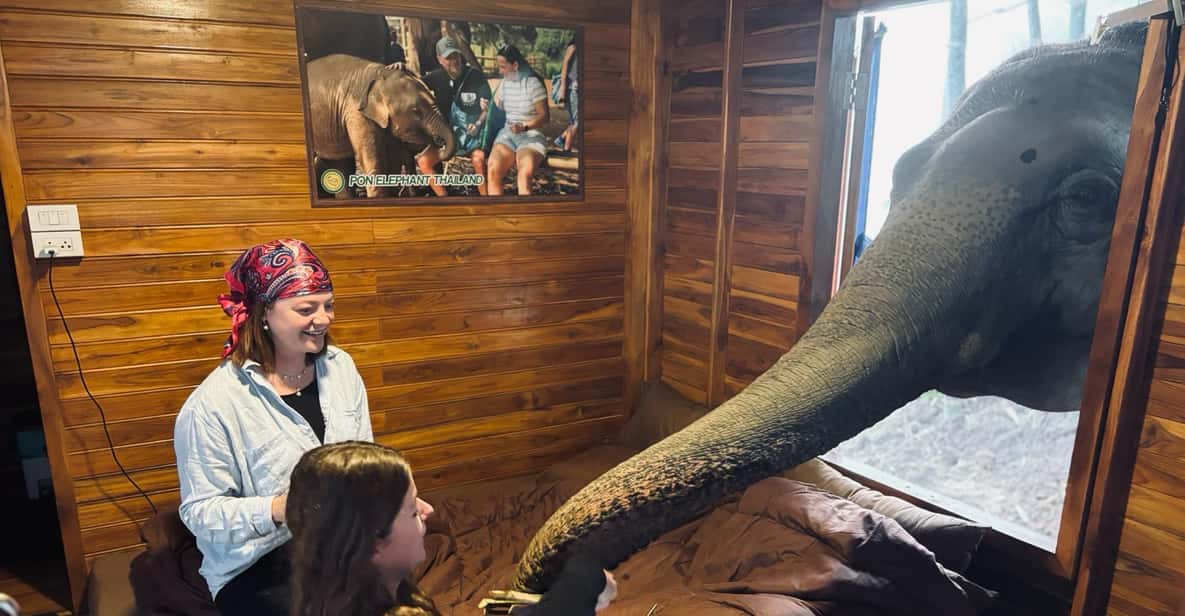 Chiang Mai : Excursion de 2 jours au sanctuaire des éléphants avec hébergement chez l'habitant ...