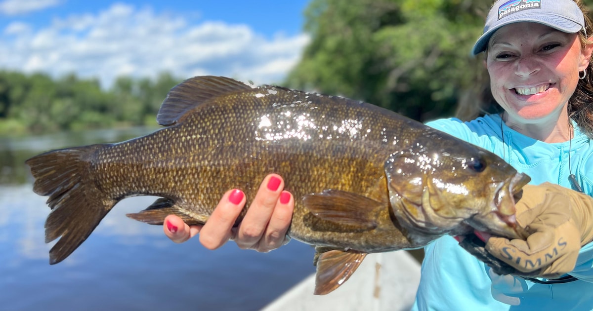 PESCA GUIADA: Recorrido en barco a la deriva para la lubina de boca ...