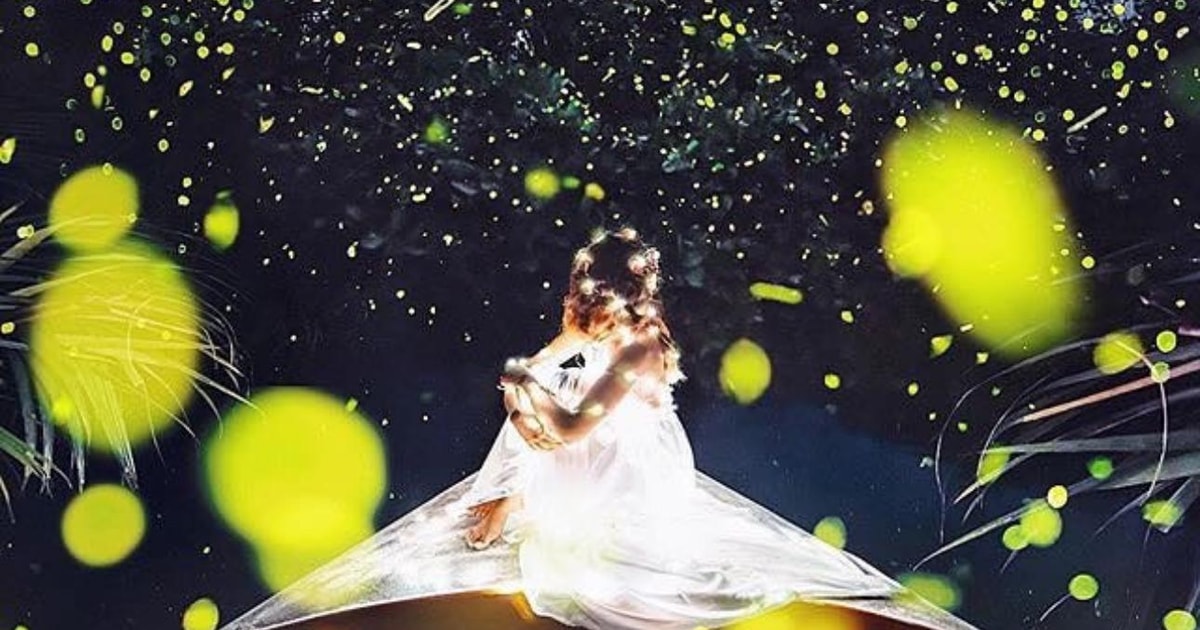 Bohol: Firefly Watching River Cruise with Hotel Pickup | GetYourGuide