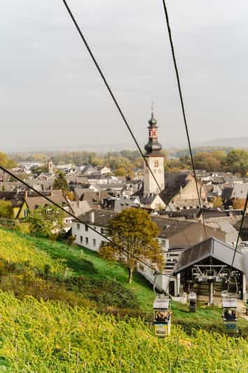 Rüdesheim am Rhein: wine hike and sights | GetYourGuide