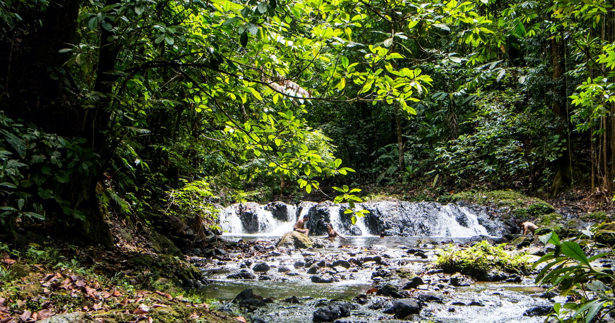 Corcovado National Park: Dagstur til San Pedrillo Station | GetYourGuide