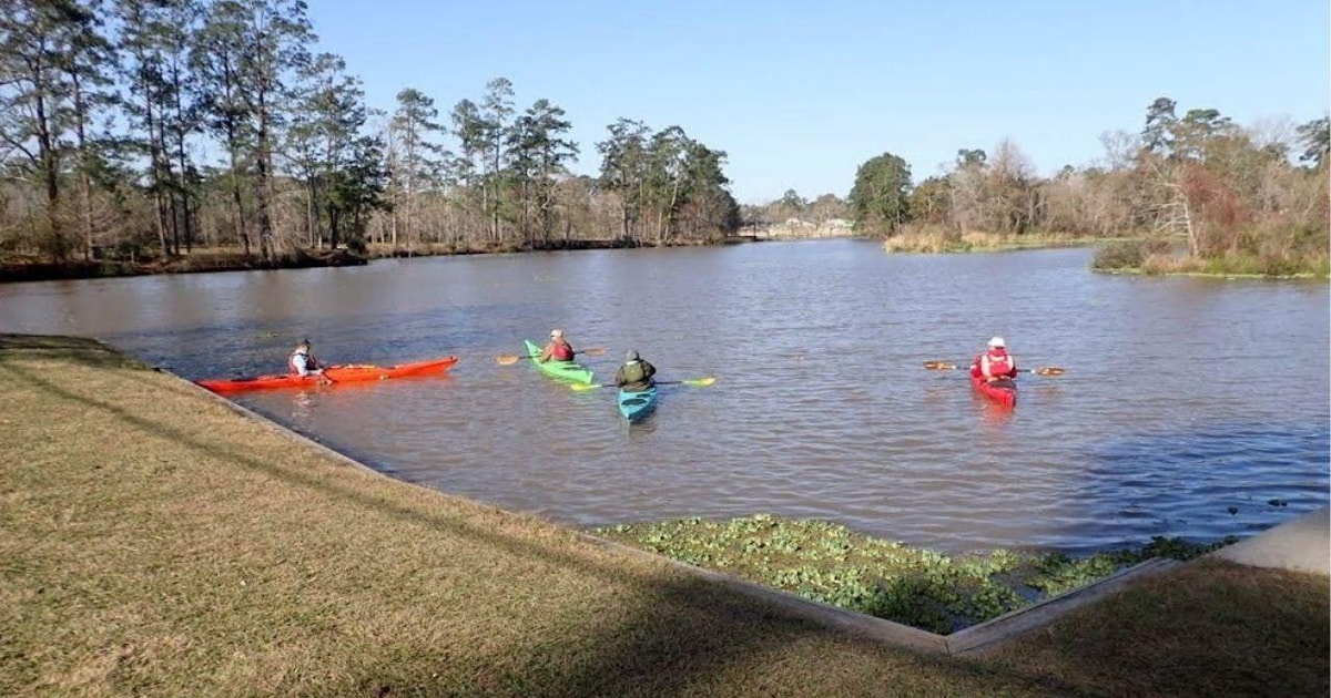 Houston: Luce Bayou Kayaking Tour | GetYourGuide