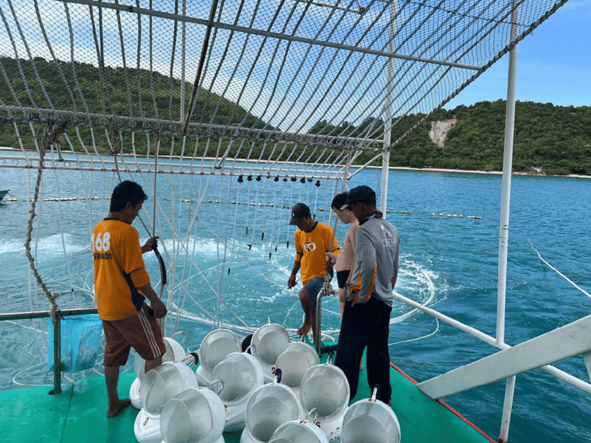 Pattaya: Underwater Sea Walking Experience | GetYourGuide