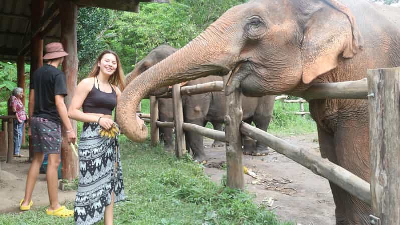 Chiang Mai: Doi Inthanon Park Hiking & Elephants Sanctuary | GetYourGuide