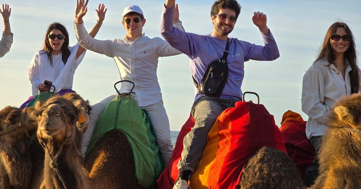 Camel Ride: Experience the Beauty of Tangier Beach at Sunset | GetYourGuide