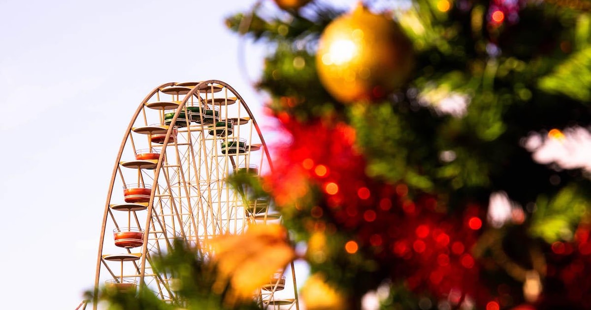 Slagharen: Winter Slagharen Theme Park Entry Ticket | GetYourGuide