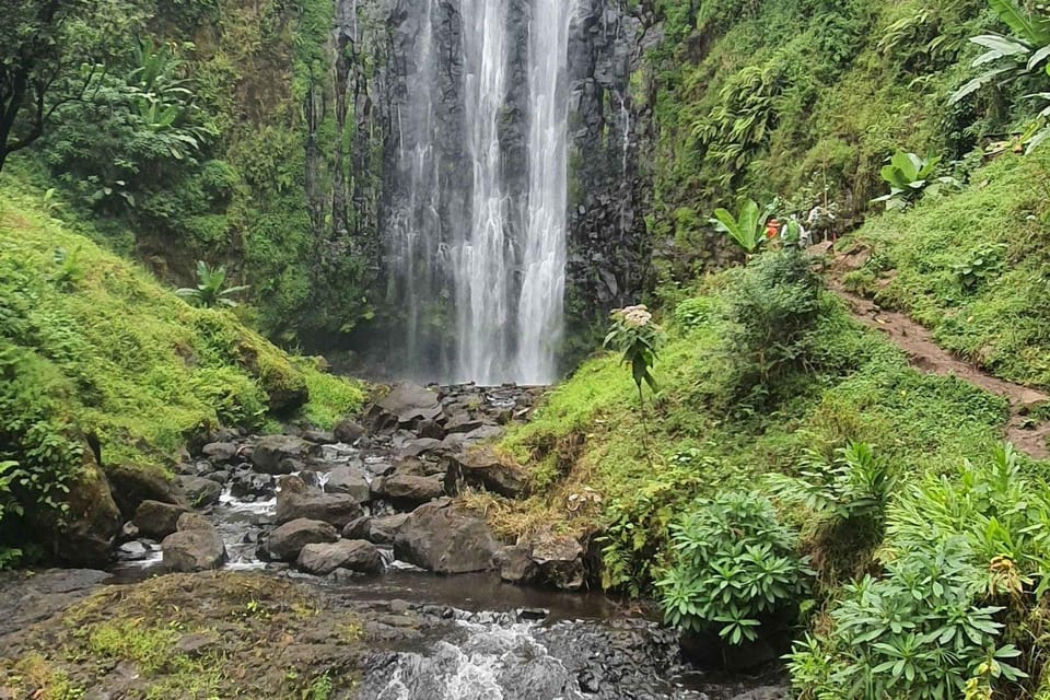 Arusha, Materuni Waterfalls Tour & Coffee Plantation | GetYourGuide