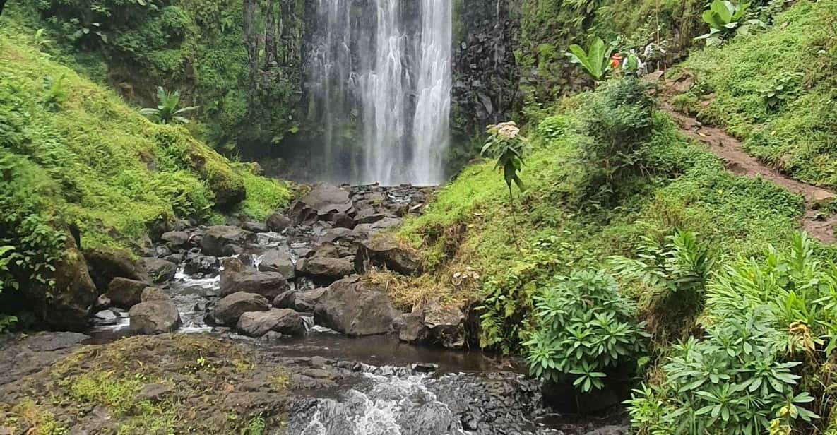 Arusha, Materuni Waterfalls Tour & Coffee Plantation | GetYourGuide