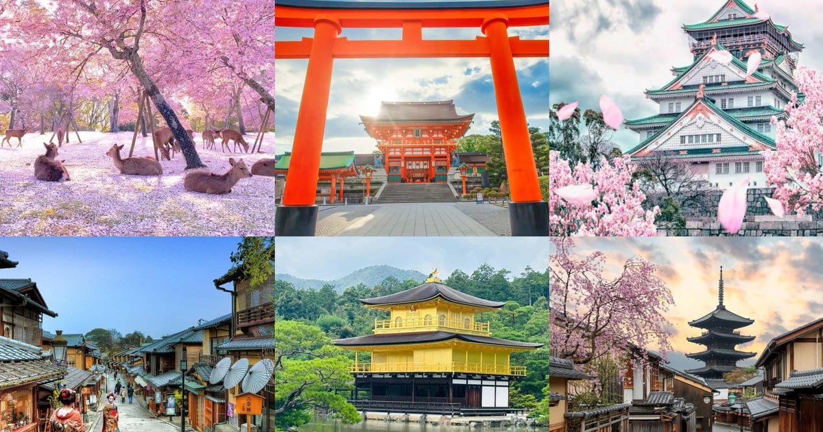 Kioto/Nara/Osaka: tour personalizado con lo más destacado y servicio de ...