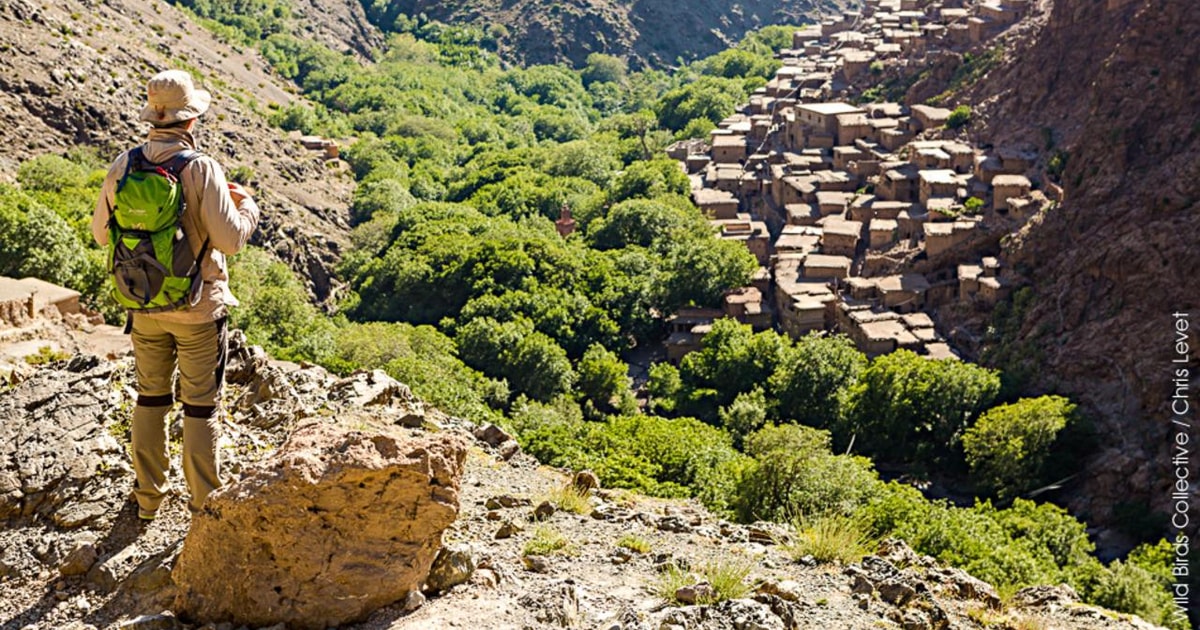 Marrakech: Day Trek In Atlas Mountais & Assaoul Summit 2700m | GetYourGuide