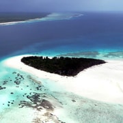 Zanzibar : Half Day Trip Snorkeling Mnemba atoll + Dolphin | GetYourGuide