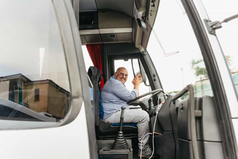 From Naples: Pompeii Ruins & Mount Vesuvius Day Tour | GetYourGuide