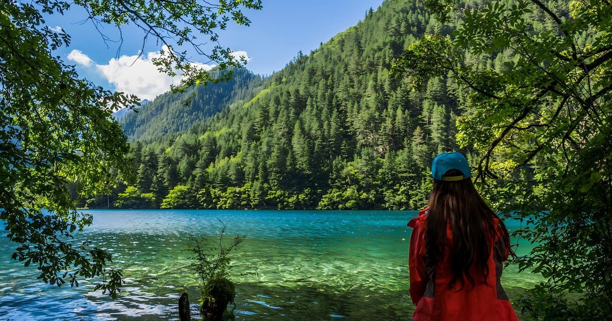 Chengdu: 7-Day Private Tour with Jiuzhaigou & Emeishan | GetYourGuide