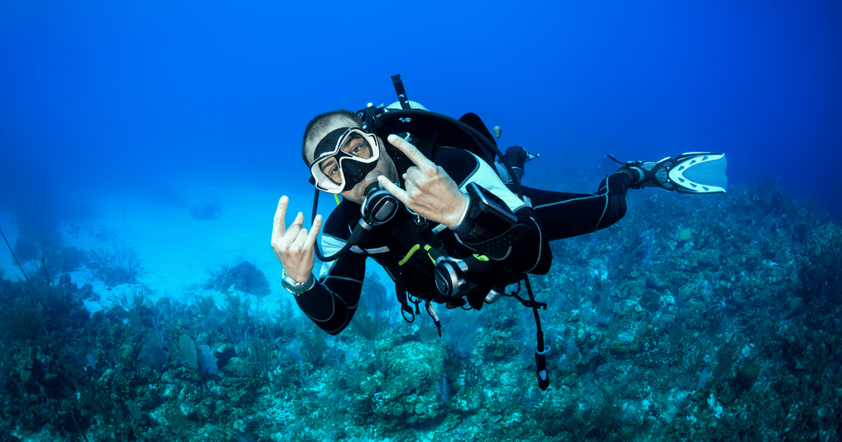 Tauchen & Wassersport auf Grande Island, Nord-Goa | GetYourGuide