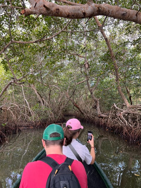 Cartagena Native Fishing Through The Mangroves | GetYourGuide