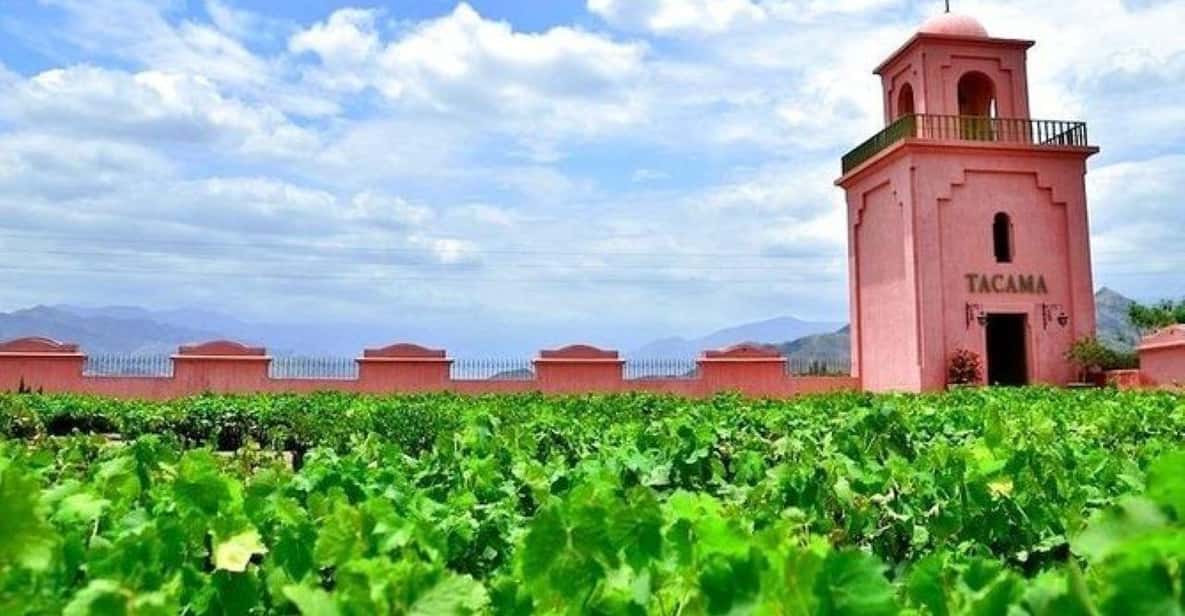 From Ica: Pisco Route Tour | GetYourGuide