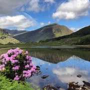 Killarney: The Ring of the Reeks - Backroads Rural Tour | GetYourGuide