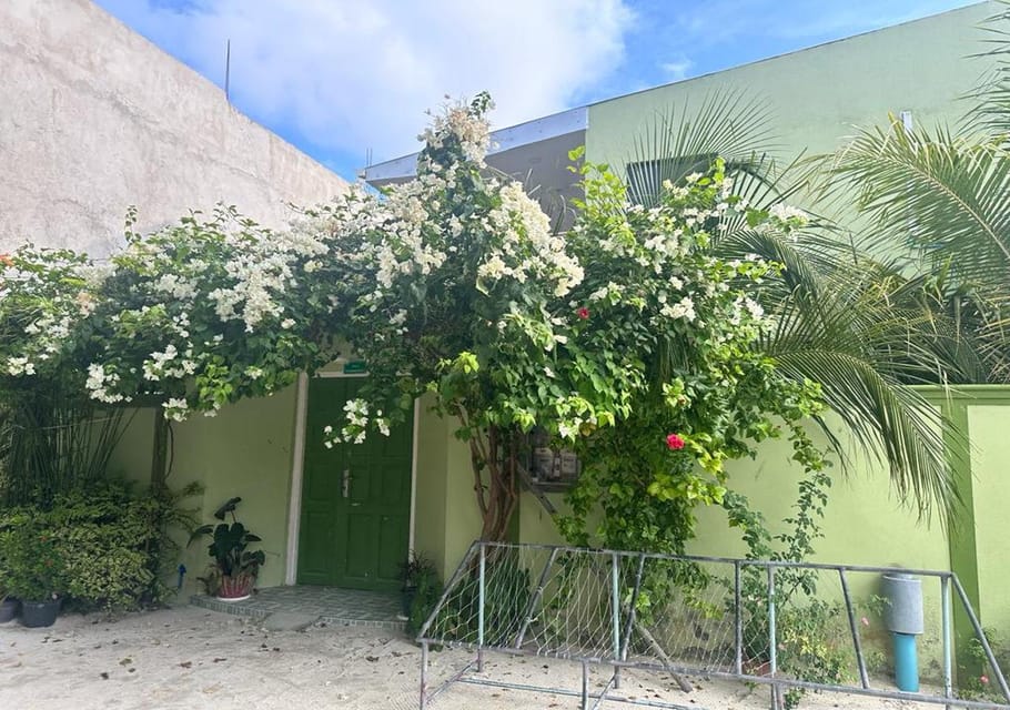 Local island(Himmafushi) tour from Male'/ Hulhumale Maldives | GetYourGuide