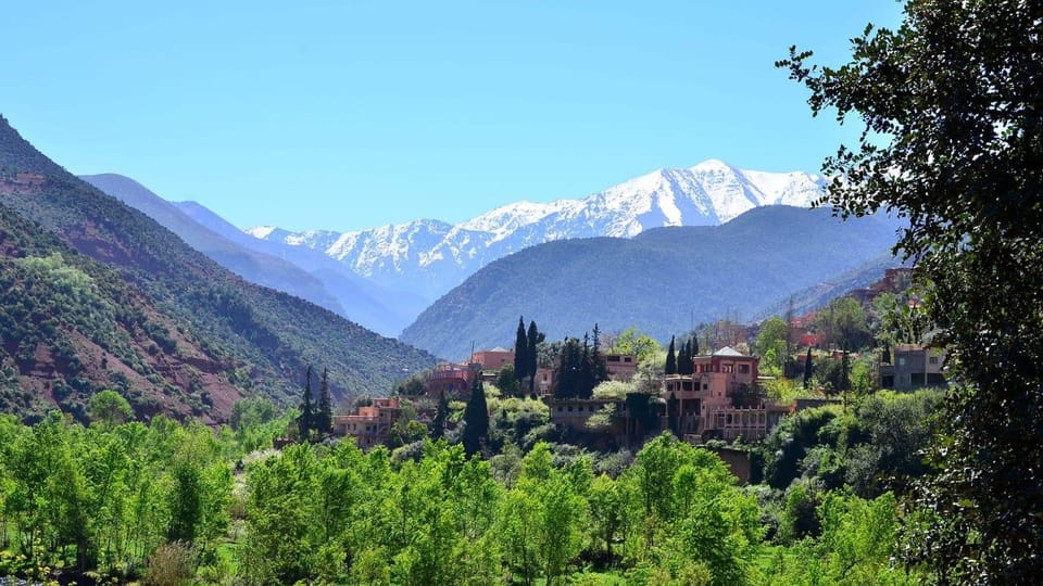 Day trip from Marrakech Atlas mountains and waterfall | GetYourGuide