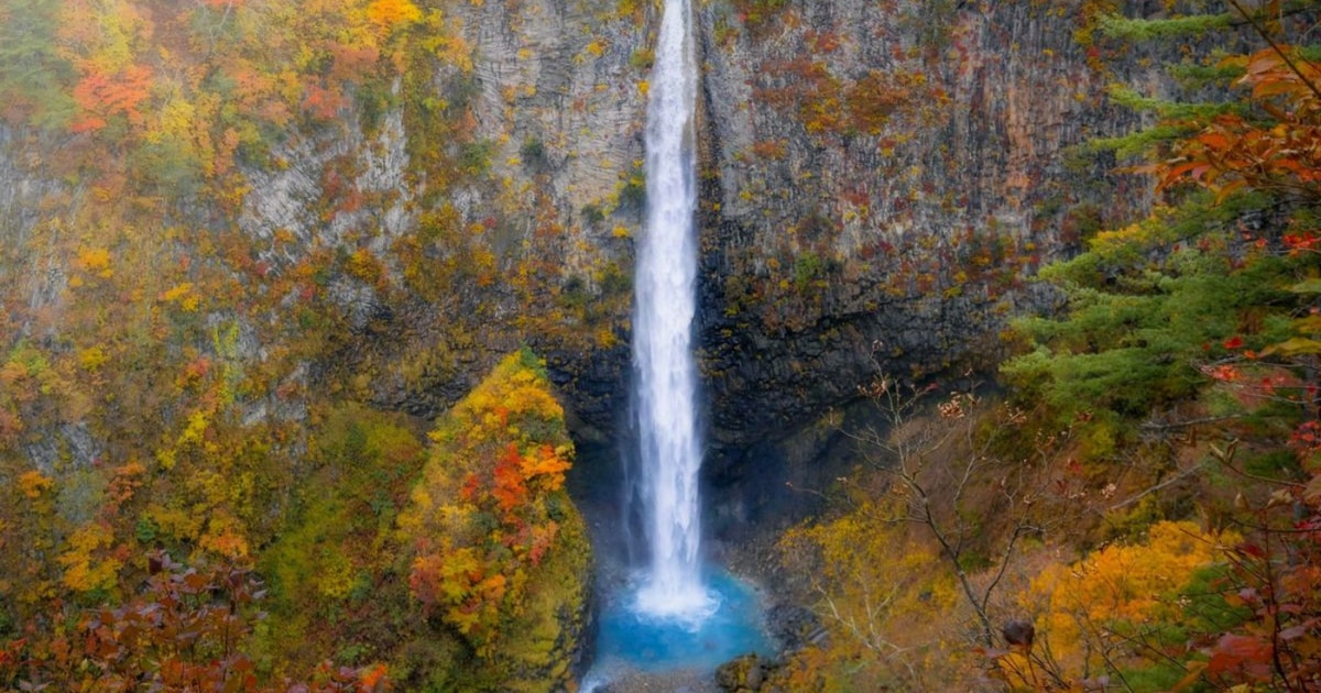 Tokio: Nikko – schöne, persönliche und private Tagestour | GetYourGuide