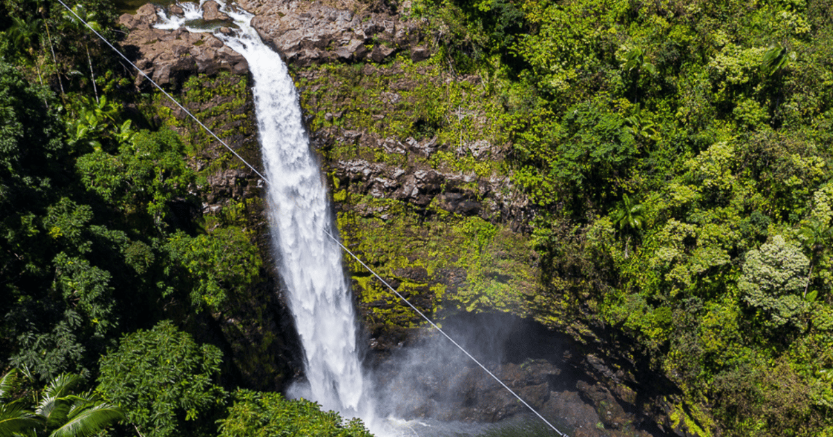 Hawaii: Big Island Hilo Zipline Tour with Cruise Ship Pickup | GetYourGuide
