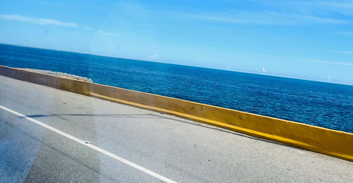 Privé transfer van de PUJ naar Zona Uvero Alto | GetYourGuide