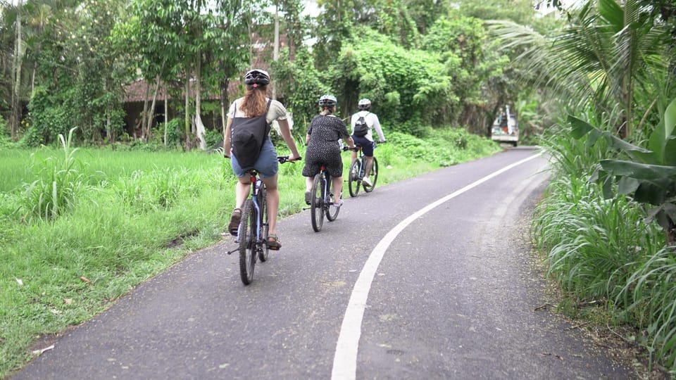 E-Bike: Ubud Rice Terrace & Visit Local Temple Cycling Tour | GetYourGuide