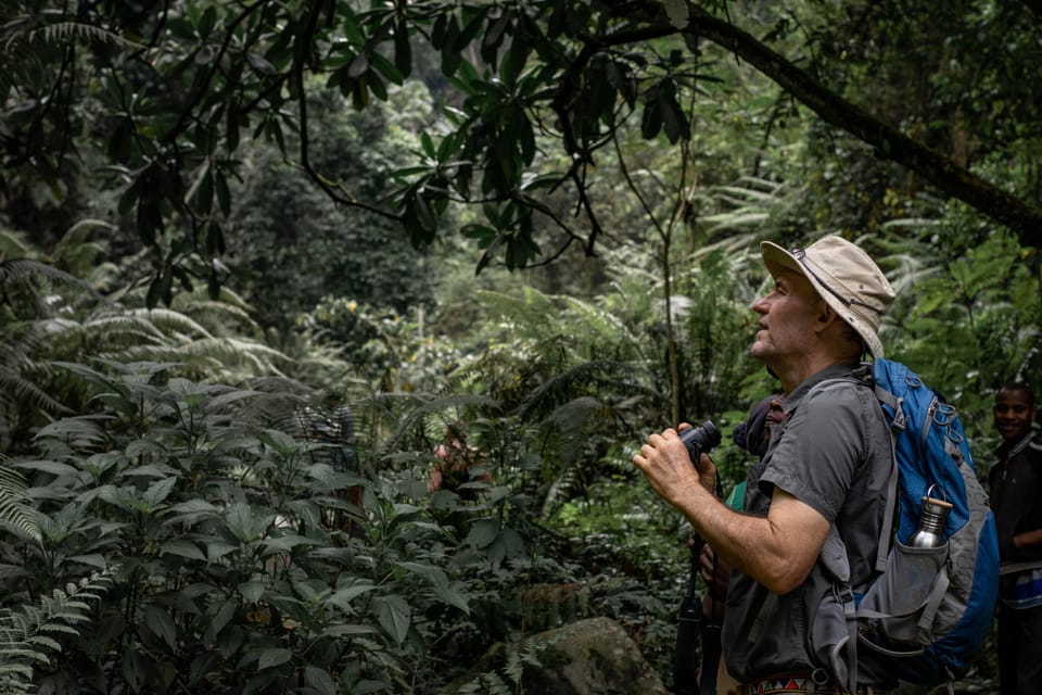 Arusha: Meru Forest Reserve waterfall hiking and camping | GetYourGuide