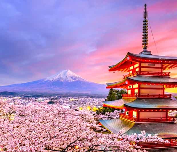 Tour Privado de 2 Días por Tokio, MT Fuji y Hakone con Guía | GetYourGuide