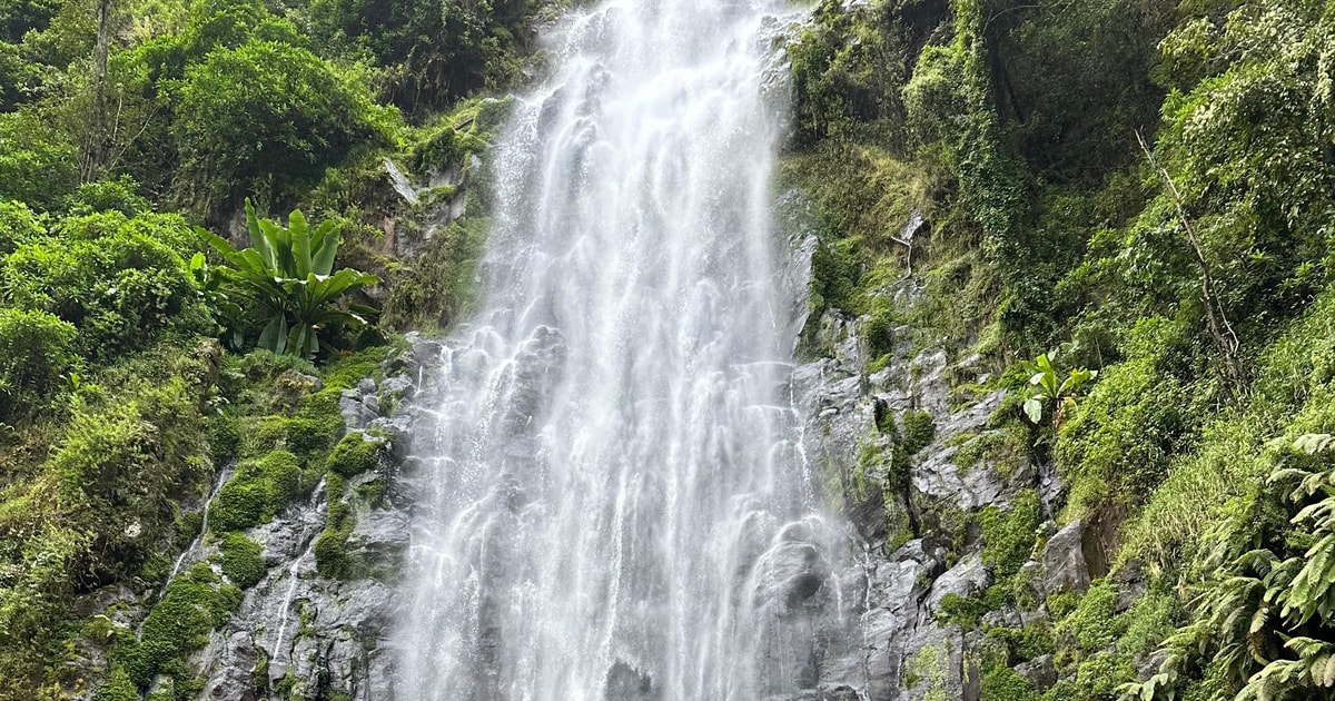 Moshi: Materuni Waterfall and Coffee Tour with Local Lunch | GetYourGuide