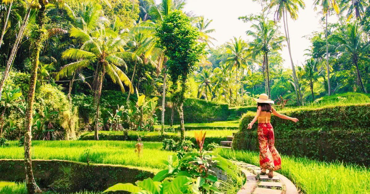 Bali: Privétour van een hele dag langs de natuurlijke wonderen van Ubud | GetYourGuide
