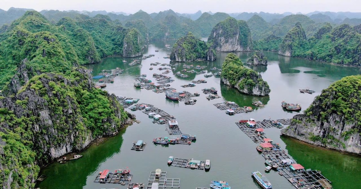 Cat Ba: Lan Ha Bay Halbtagestour mit Kajak fahren | GetYourGuide