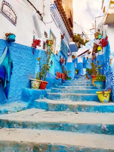 Memorable Day Trip From Fez to Chefchaouen the Blue City | GetYourGuide