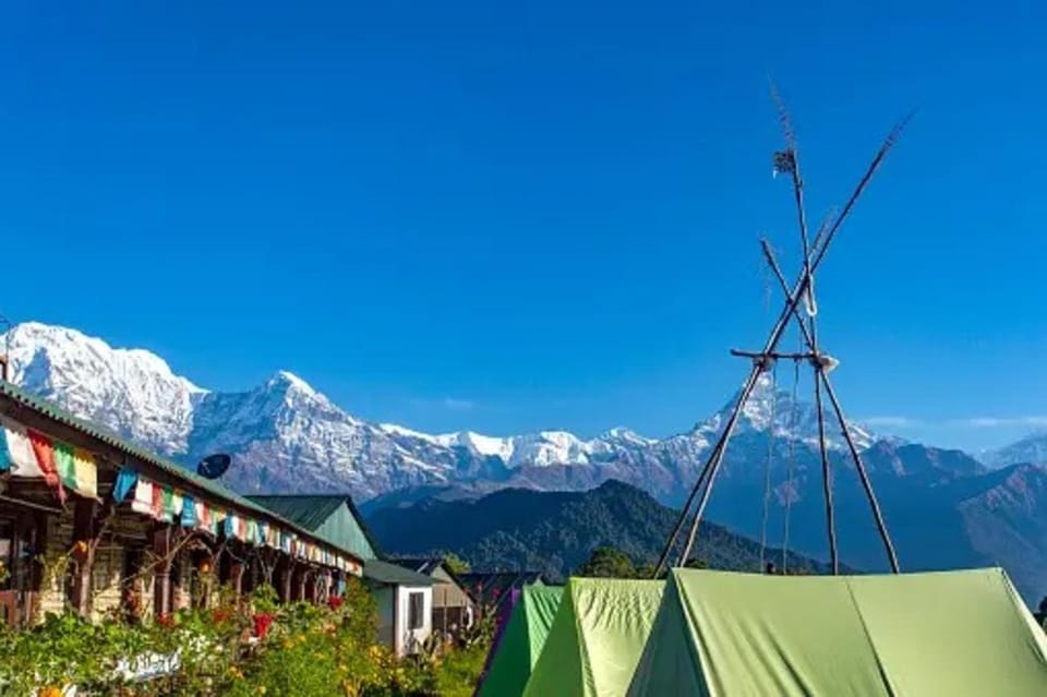 Dhampush to Australian Camp Hike | GetYourGuide