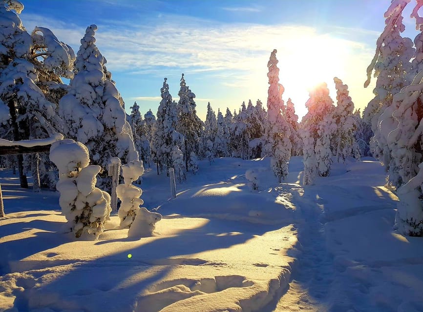 Winter Hike | GetYourGuide