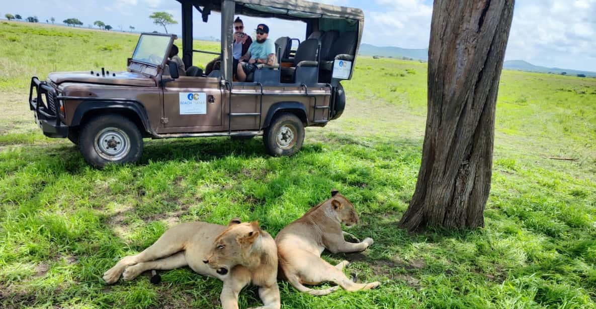 Desde Zanzíbar: Un día, Parque Nacional de Mikumi/ Safari guiado ...