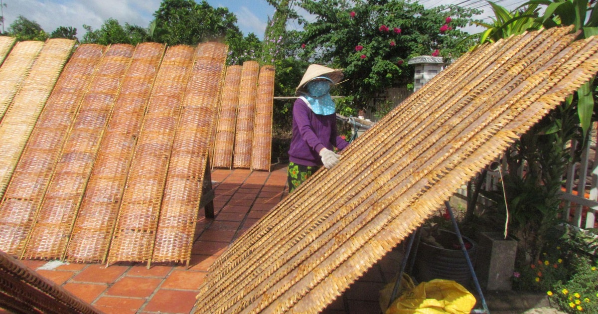 Morning Tour with My Son Holyland & Rice Paper Making | GetYourGuide