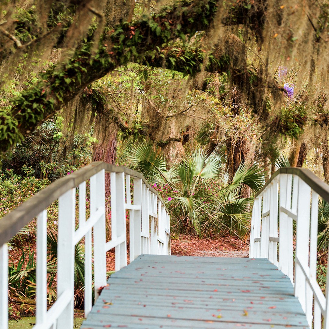 Charleston: Magnolia Plantation Entry & Tour with Transport | GetYourGuide