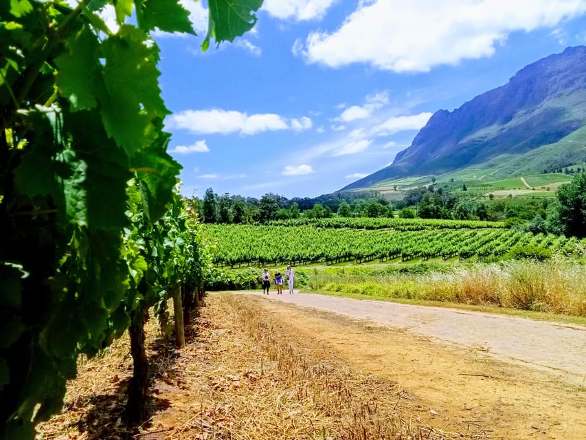 Wine Walk | GetYourGuide