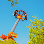 From Busan: Daegu E-World & 83 Tower Observatory Day Tour | GetYourGuide