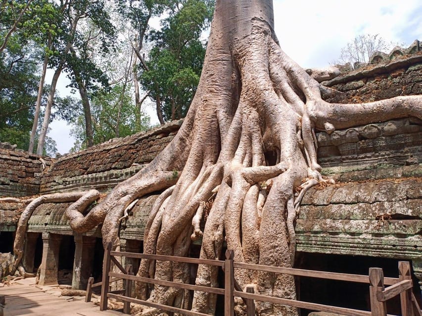 Private 3-Day Tour in Siem Reap & Phnom Penh | GetYourGuide