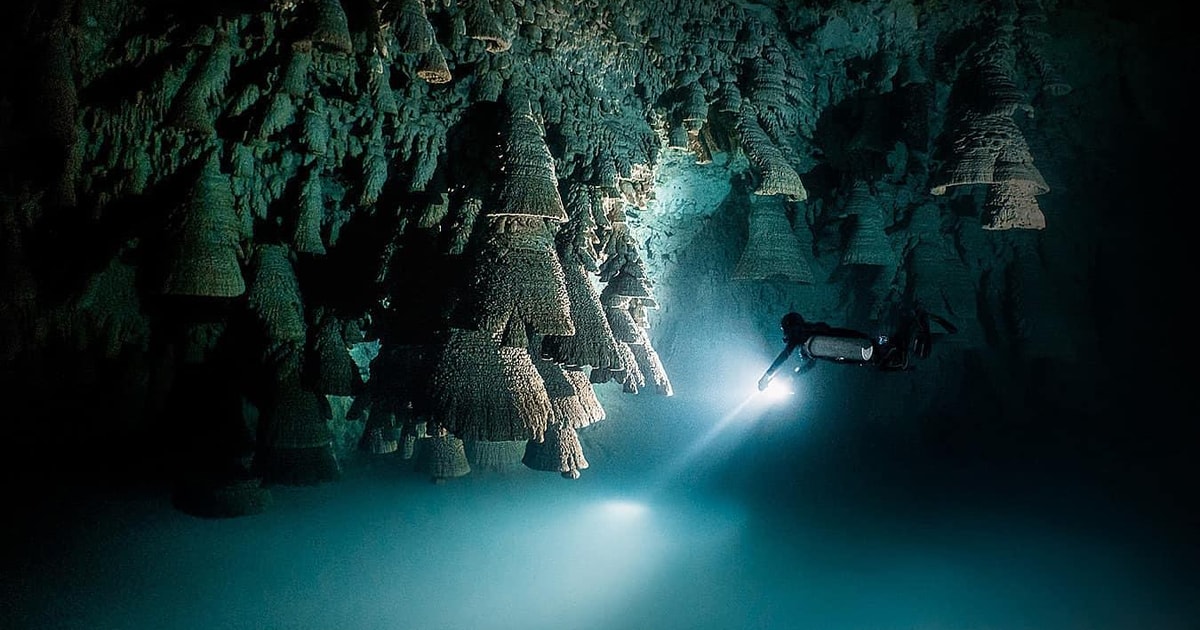 Playa del Carmen: Entdecke die surreale Welt der Cenote-Tauchgänge ...