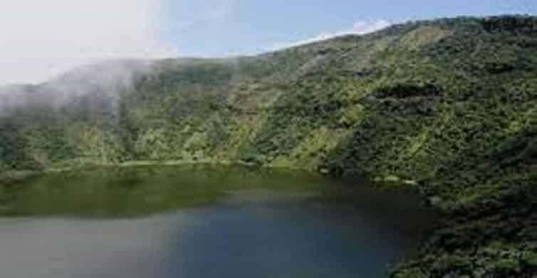 1-dniowa wędrówka (wulkan Bisoke) | GetYourGuide