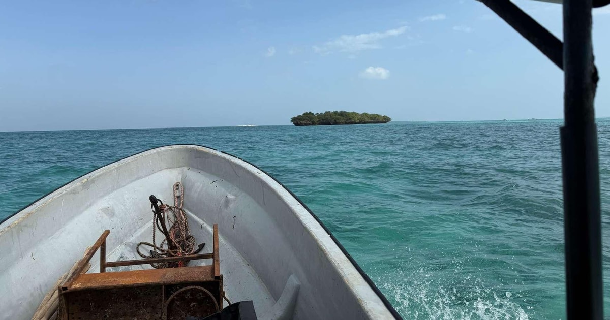 Zanzibar: Amani Stadium Guided Tour with Match Ticket | GetYourGuide