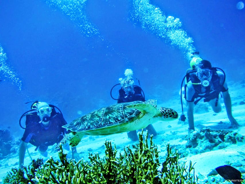 Antalya Diving Discovery: Explore the Deep Sea Secrets | GetYourGuide